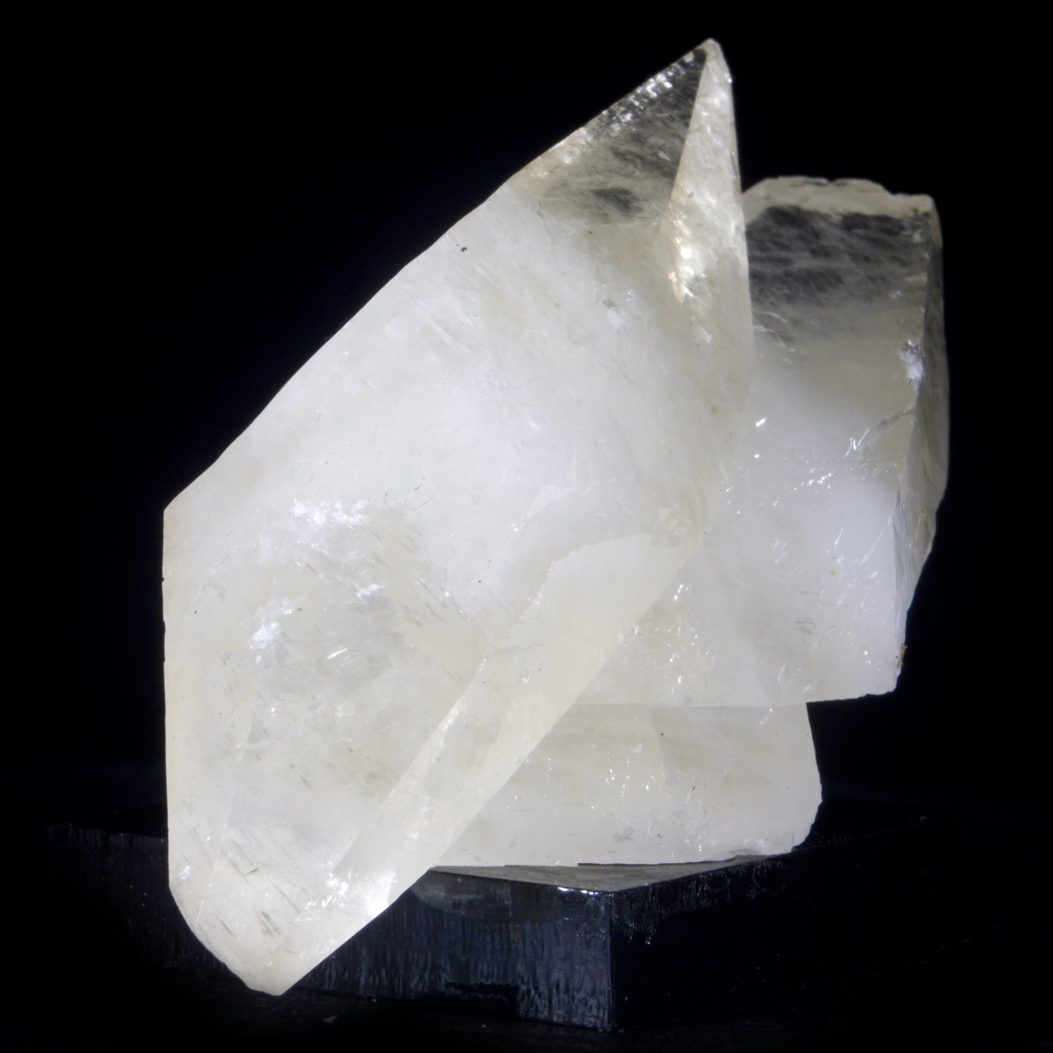Rosecliff Heights Carolea Crystal | Wayfair