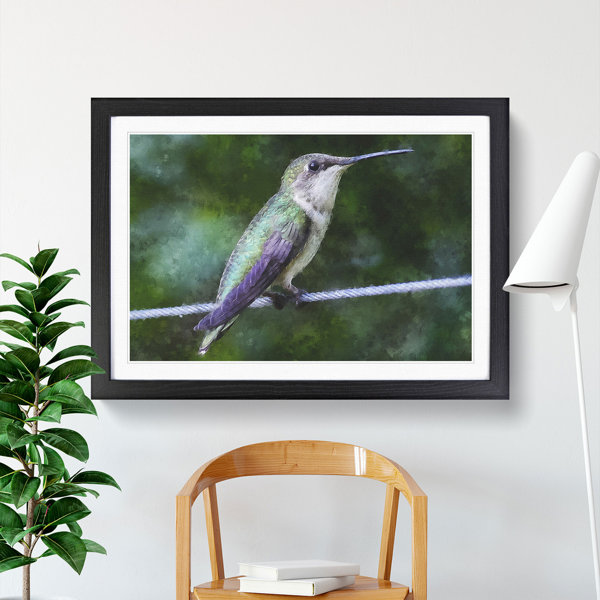 East Urban Home Hummingbird Vol.3 - Picture Frame Graphic Art | Wayfair ...