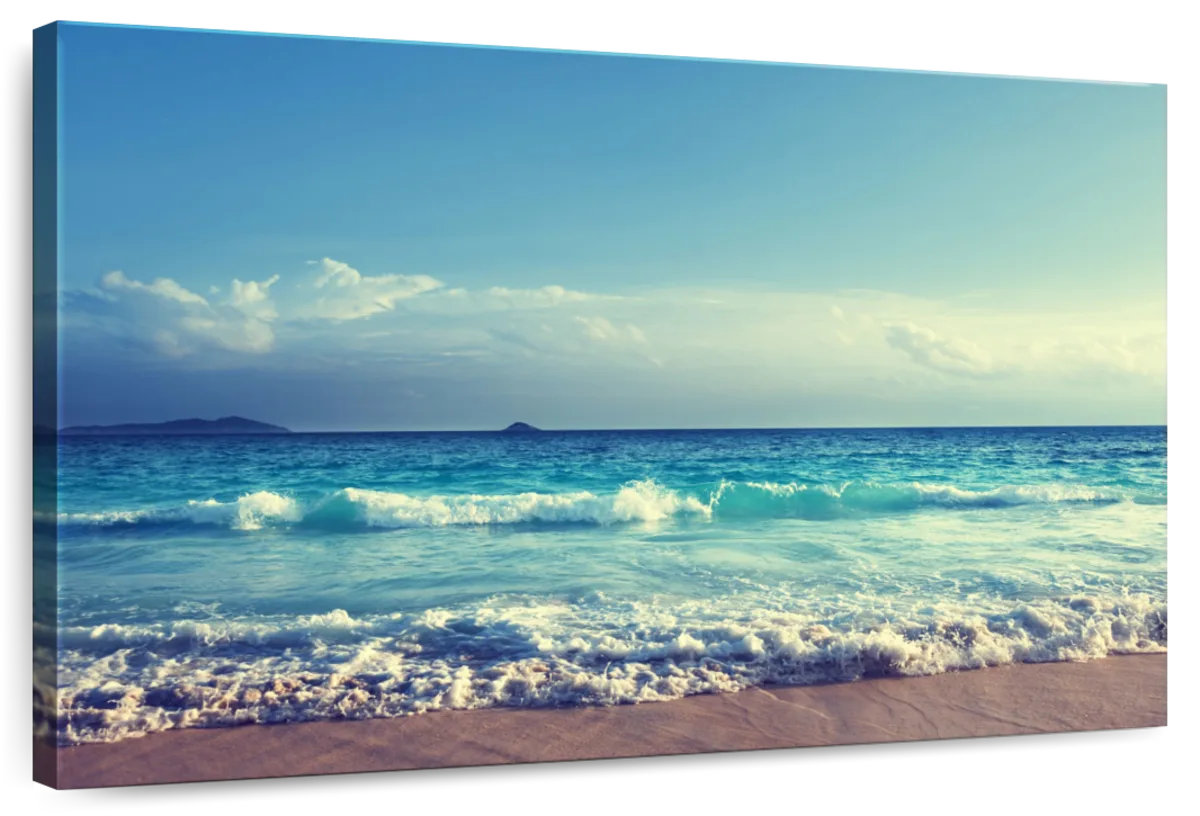 Elephant Stock Seychelles Beach Waves | Wayfair