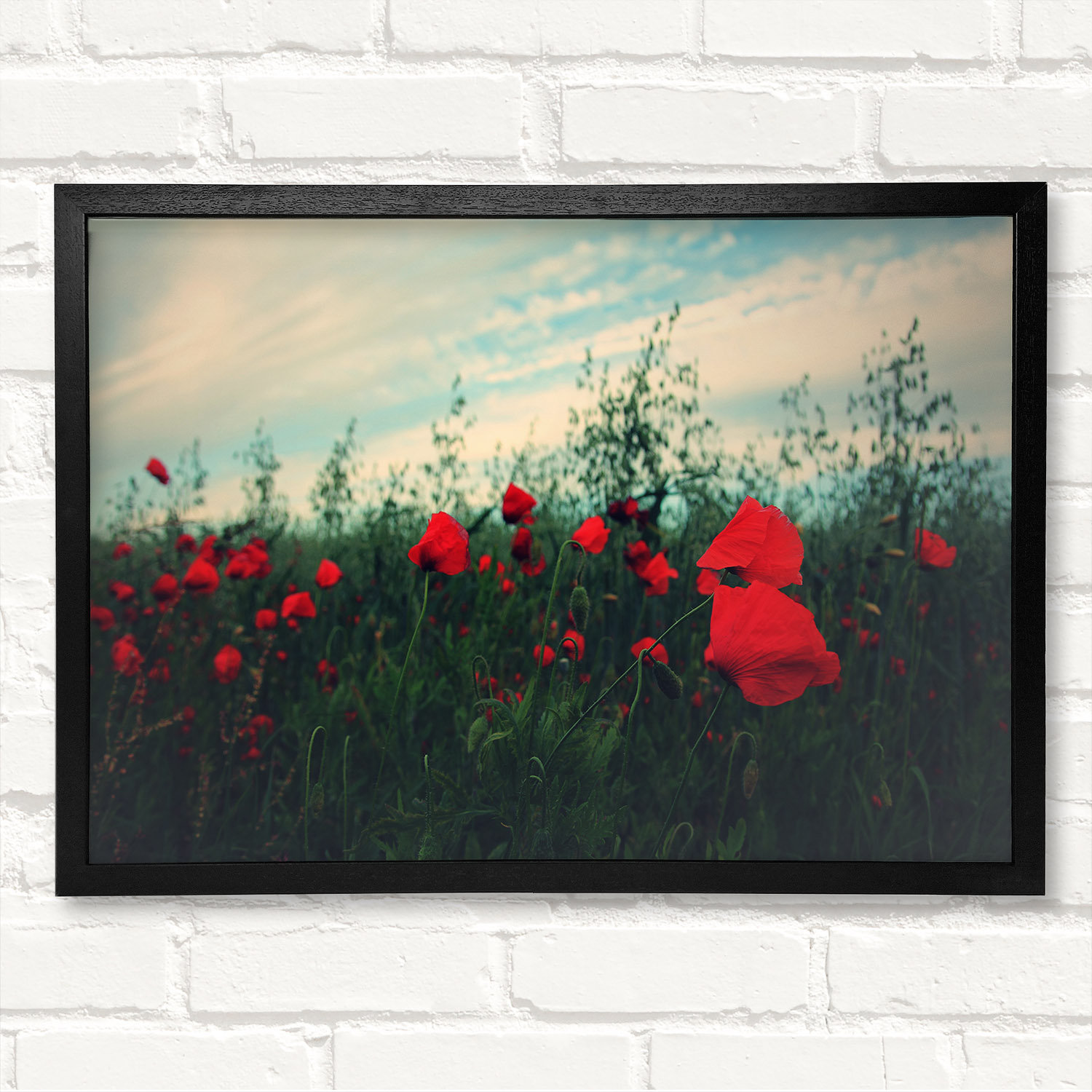 Latitude Run Red Poppies On A Windy Day - Closed Corner Frame Art ...