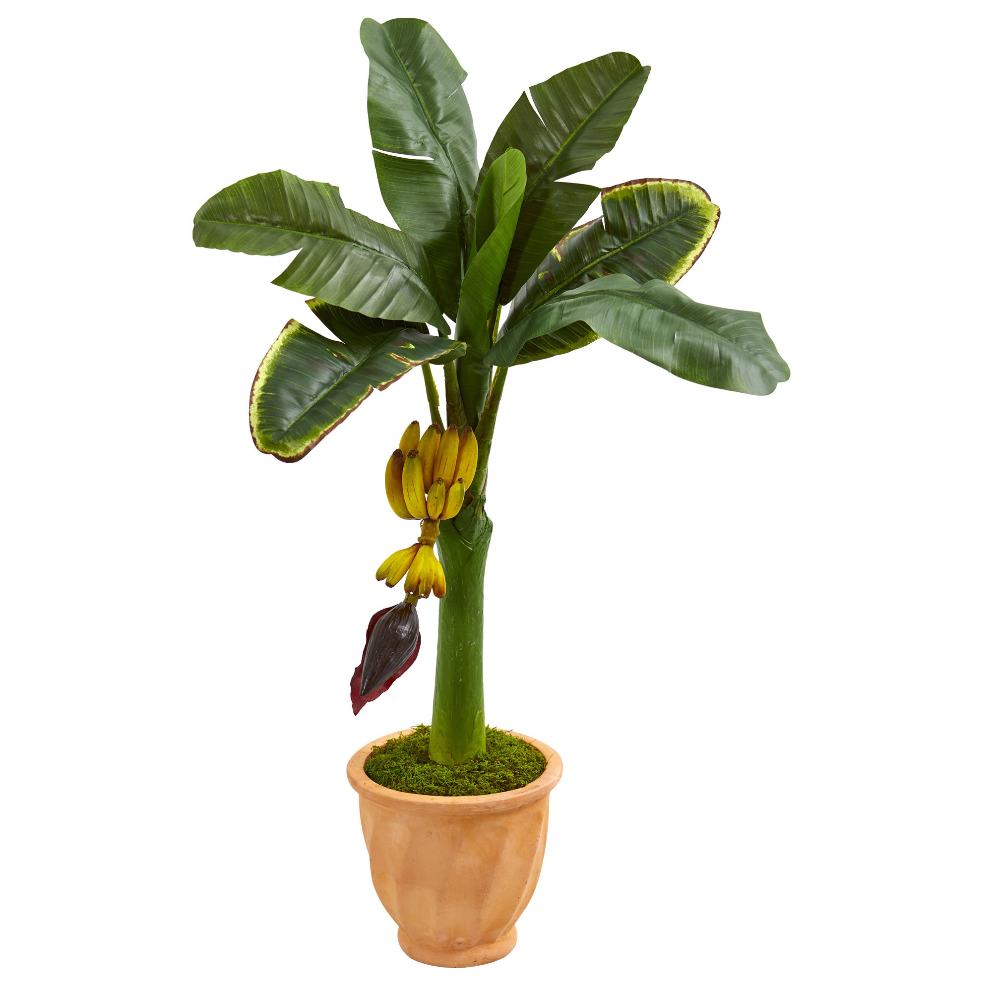 Bayou Breeze 28" Artificial Banana Leaf Tree in Planter & Reviews | Wayfair