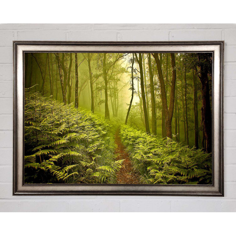 Union Rustic Green Forest Path - Single Picture Frame Art Prints ...
