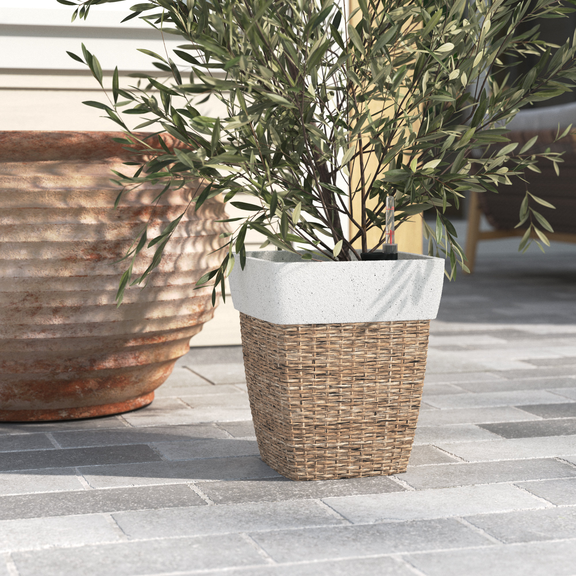 Sand & Stable Papillon Pot Planter & Reviews | Wayfair