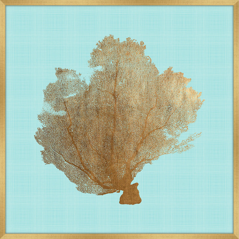 Melissa Van Hise 'Sea Fan III' Framed Graphic Art Print | Wayfair