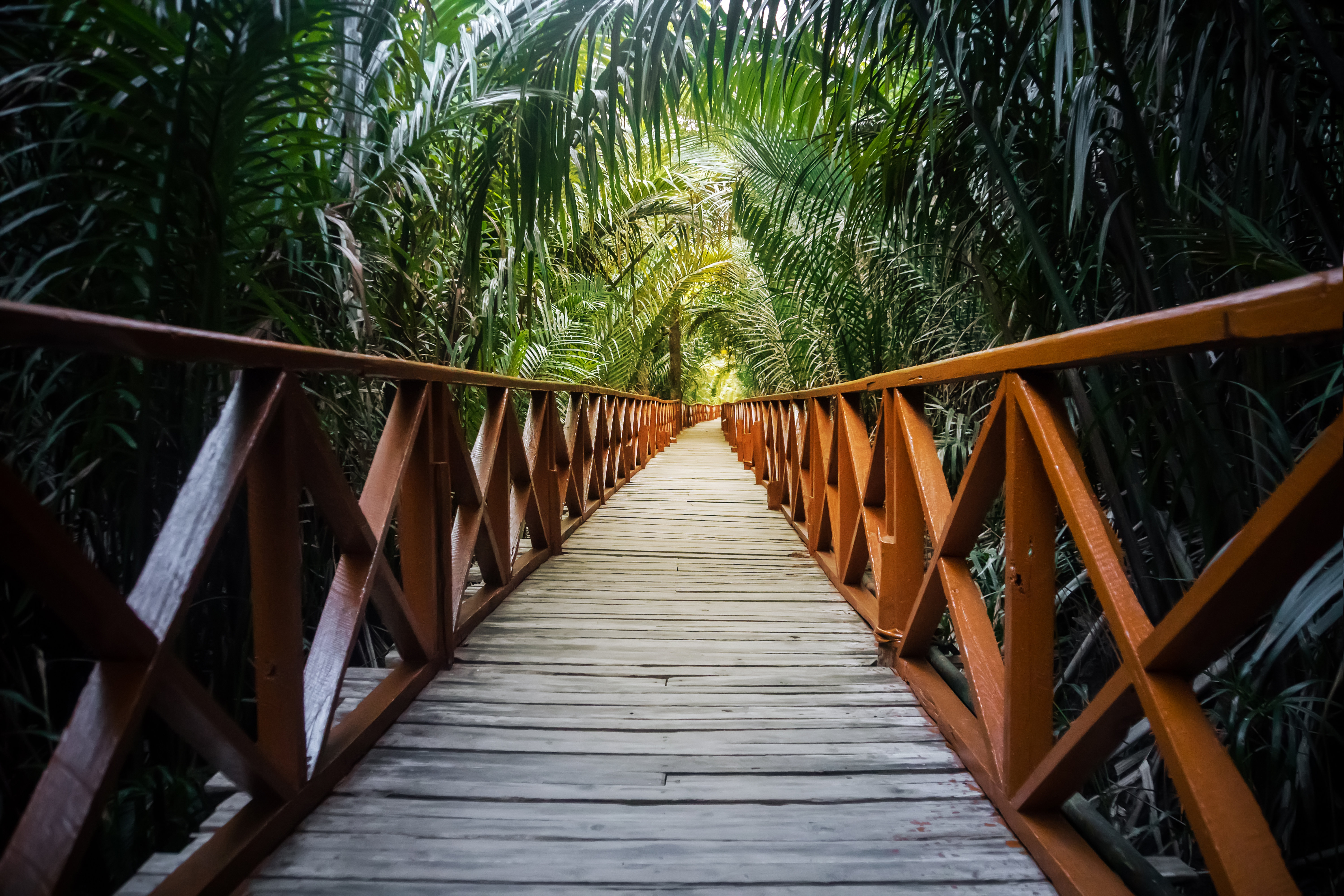 Alpen Home The Walkway in Wooden by Diy13 - Wrapped Canvas Photograph ...
