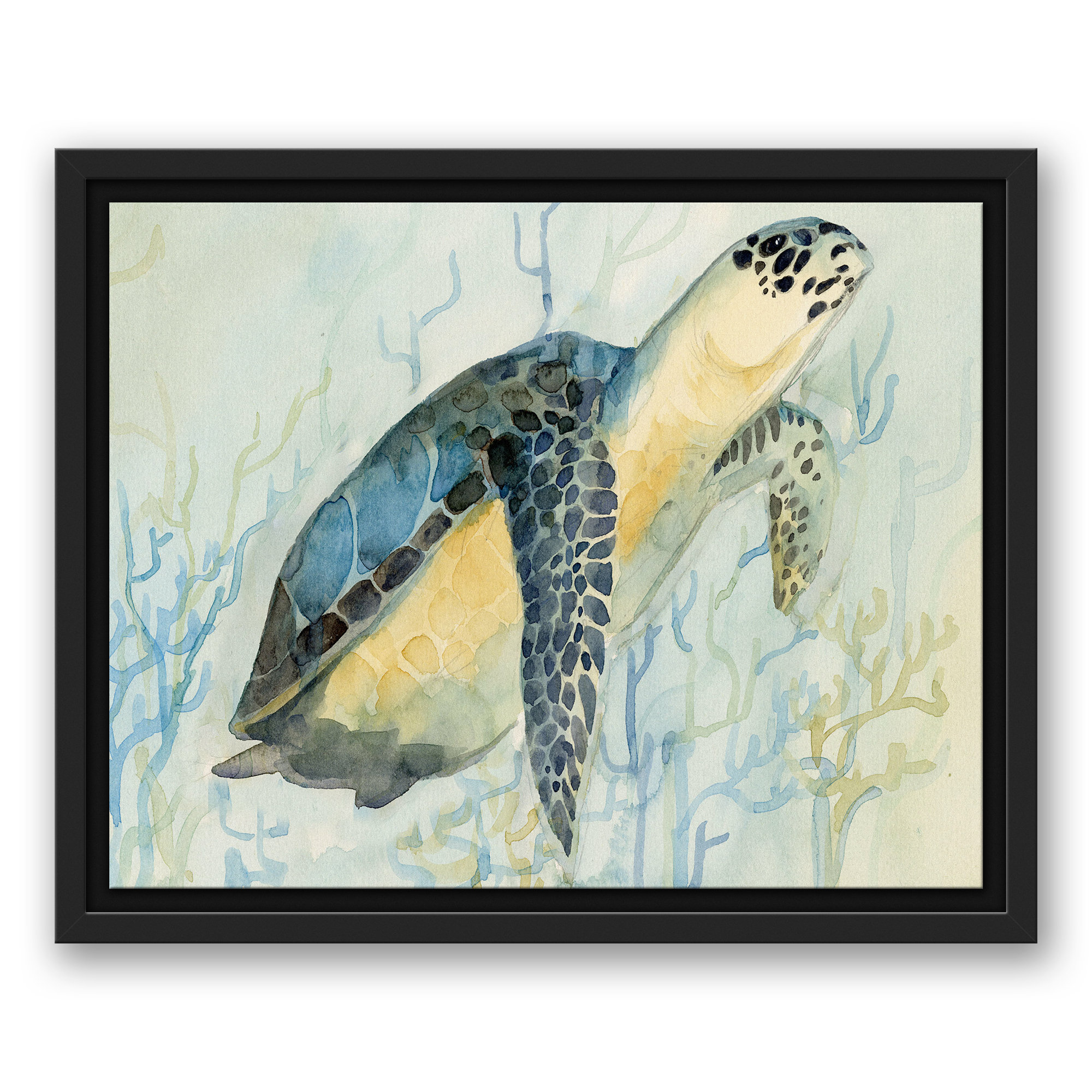 Bayou Breeze Sea Turtle Framed On Canvas Print | Wayfair