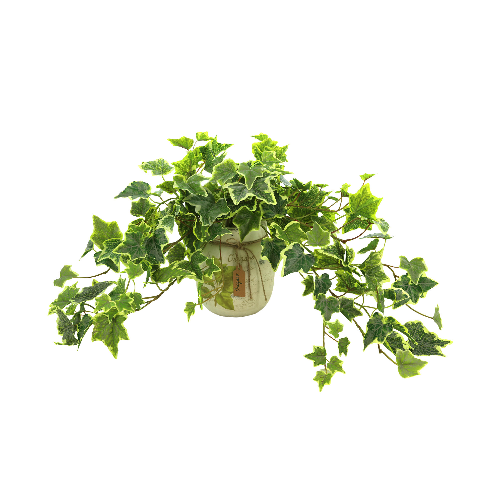 Creative Displays, Inc. Variegated Ivy in Ceramic Pot | Perigold