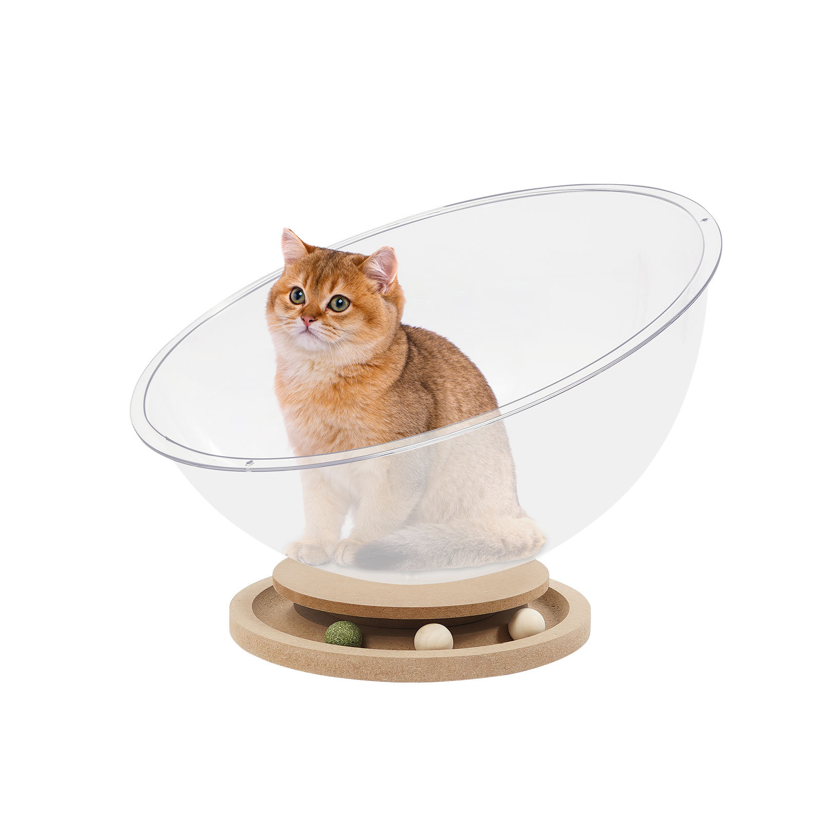Archie & Oscar™ Space Capsule Cat Bed | Wayfair