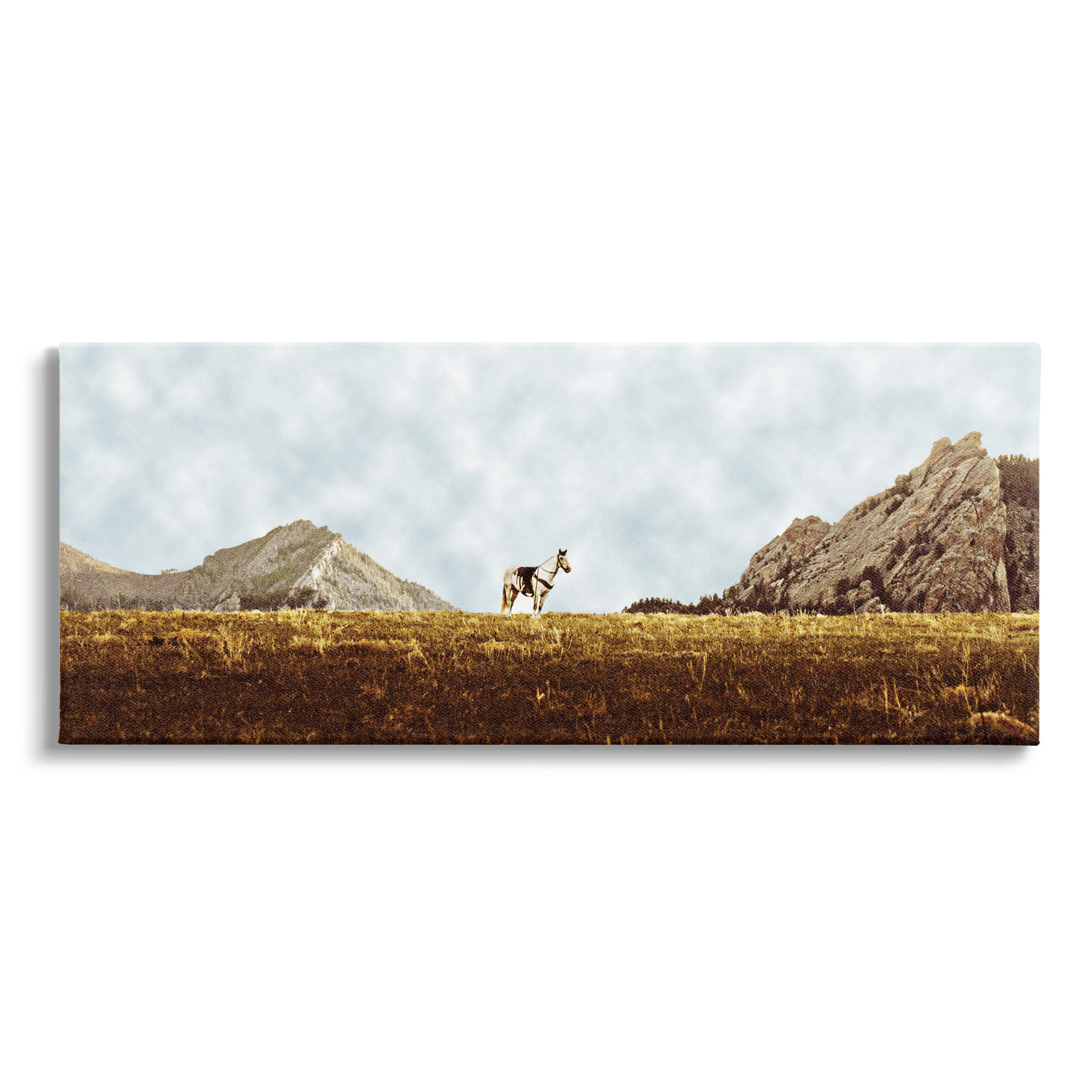 Union Rustic Horse Between Desert Peaks Canvas Wall Art by Sundance ...