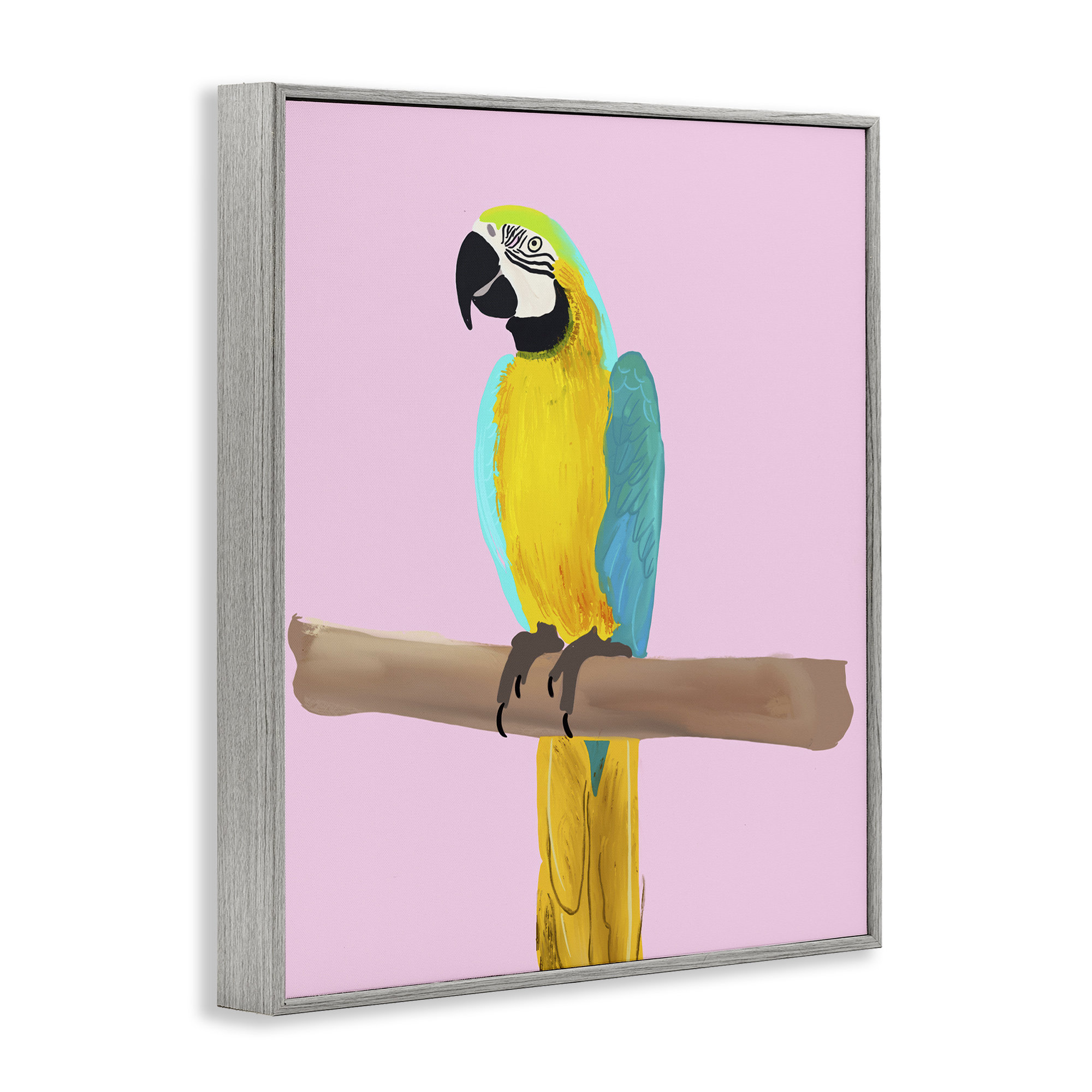 Dakota Fields Bright Parrot on Pink Framed Giclee Art by Ashley ...
