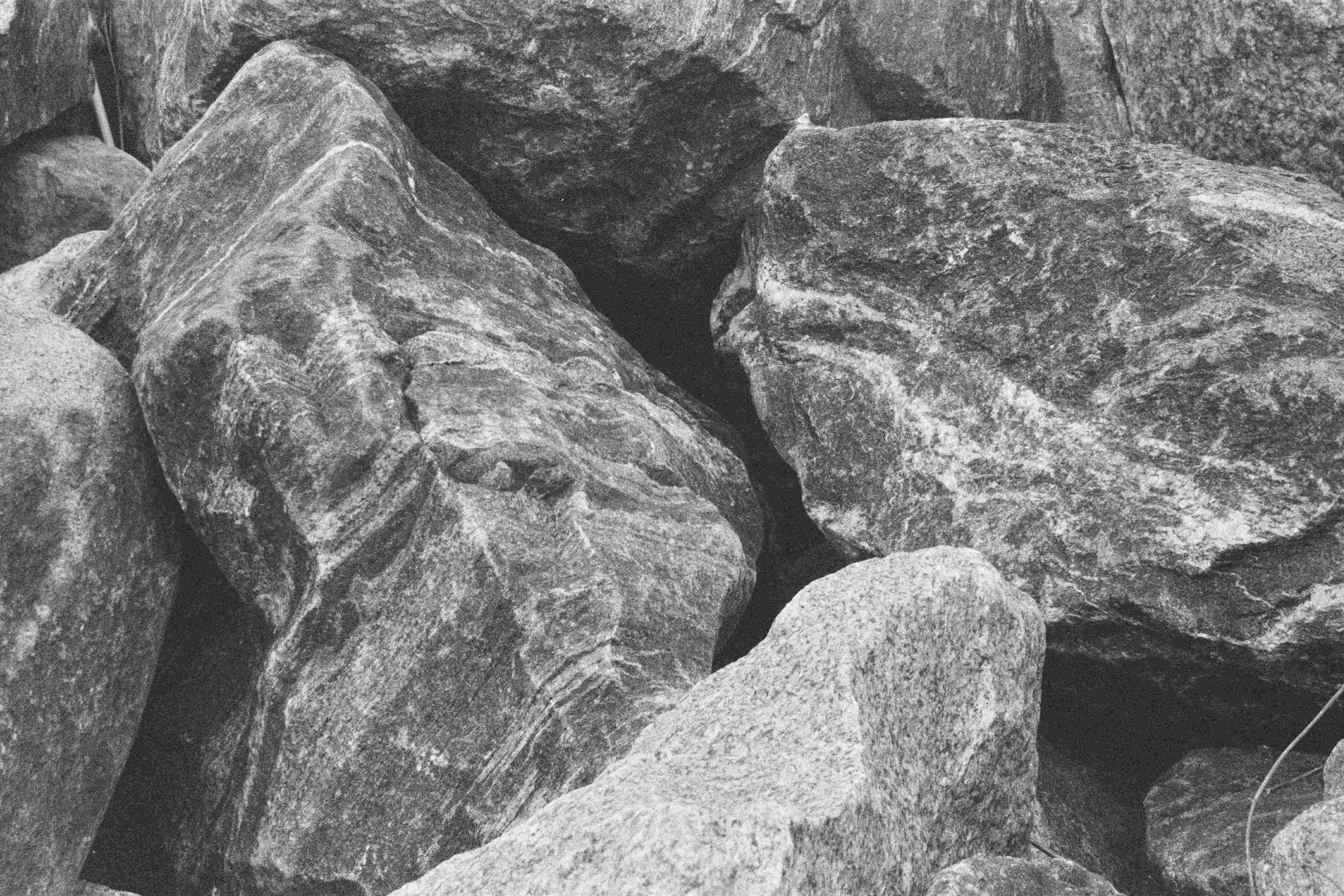 Millwood Pines Found Textures VII by - Wrapped Canvas Photograph ...