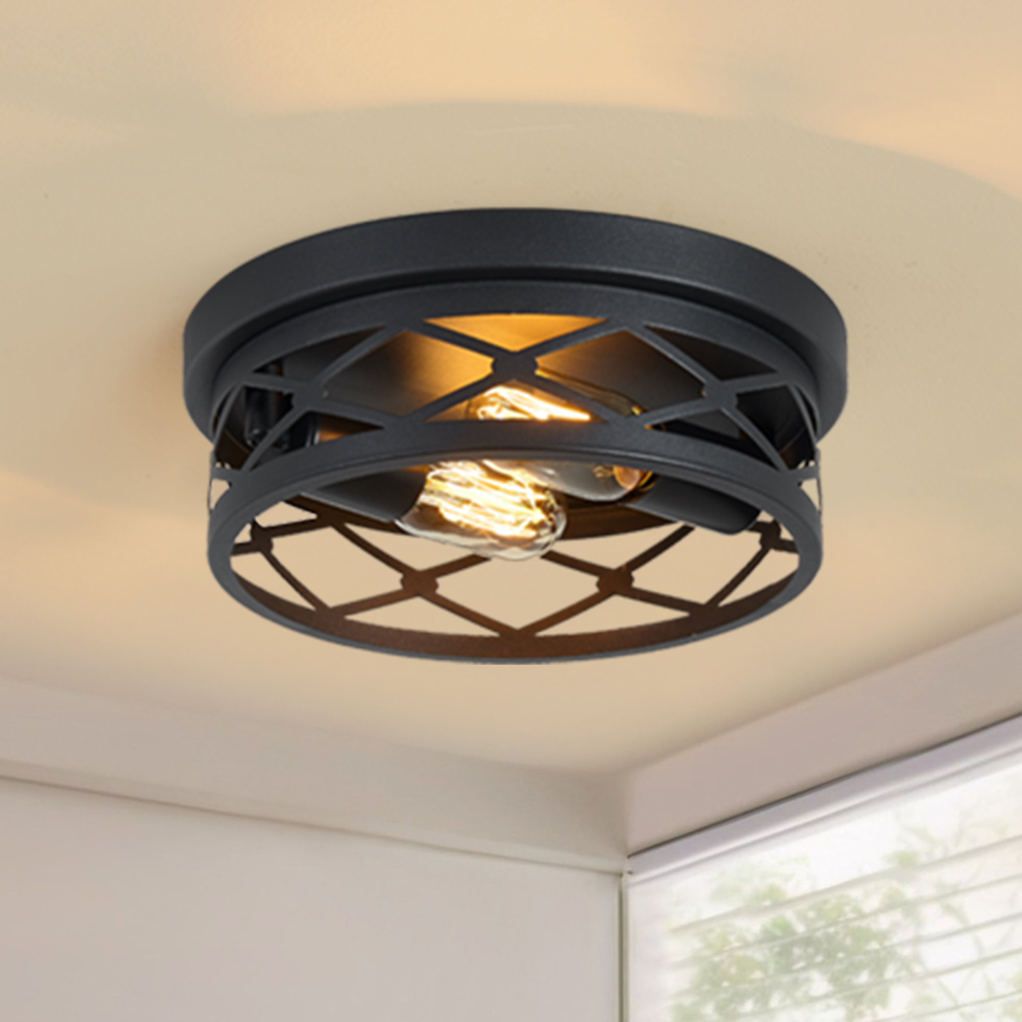 17 Stories 2-Lights Black Flush Mount Ceiling Light Fixtures With Cage ...