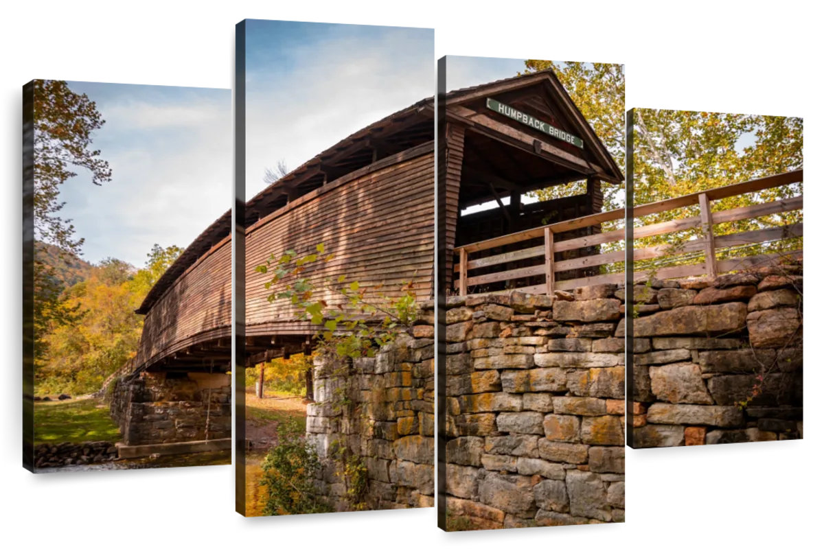 Elephant Stock Humpback Bridge | Wayfair