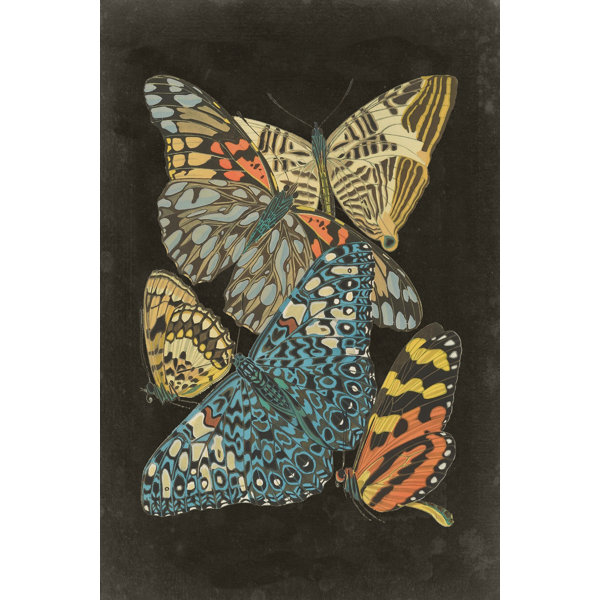 August Grove Winged Patterns II by Eugene Seguy - Wrapped Canvas ...