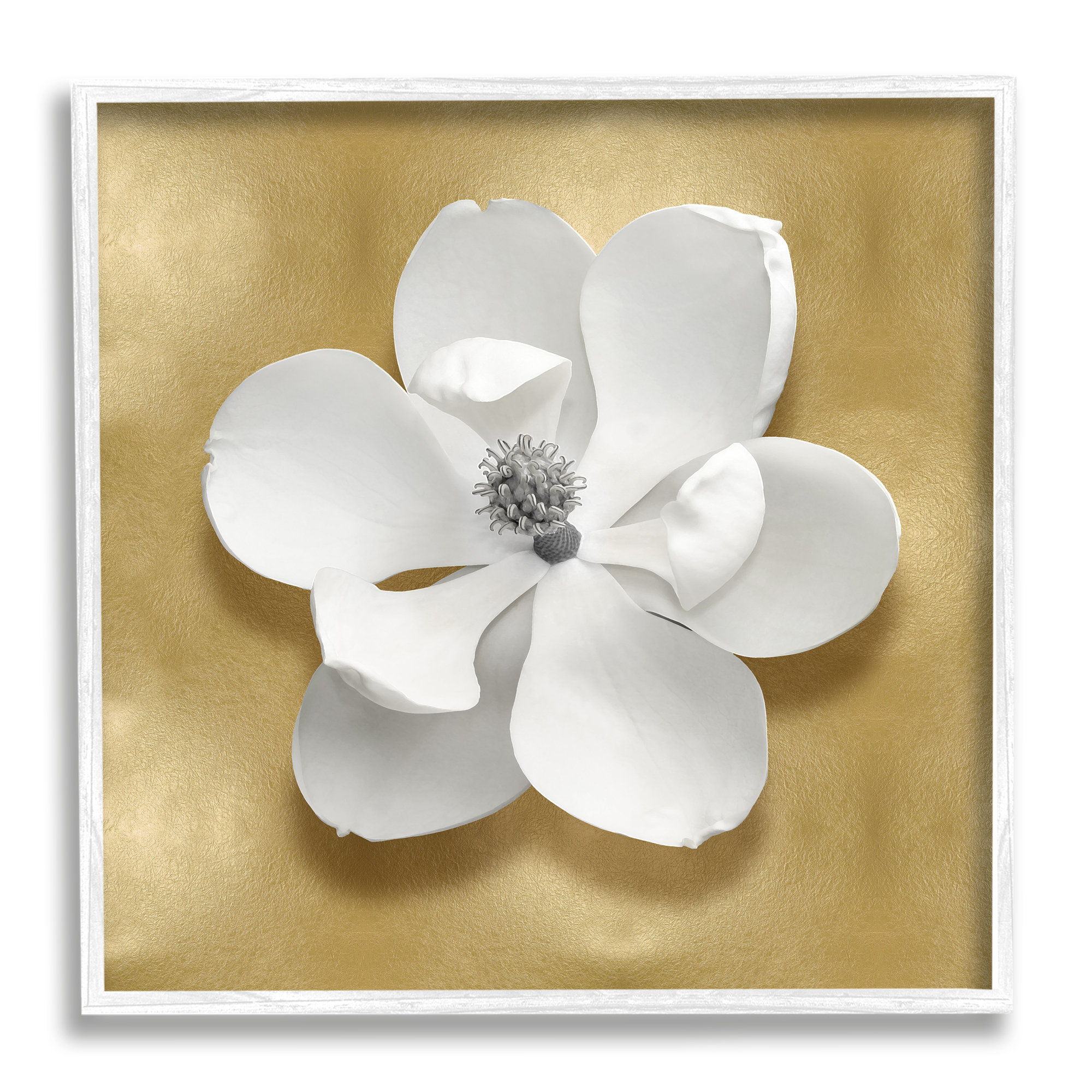 Stupell Industries White Apple Blossom by Caroline Kelly | Wayfair