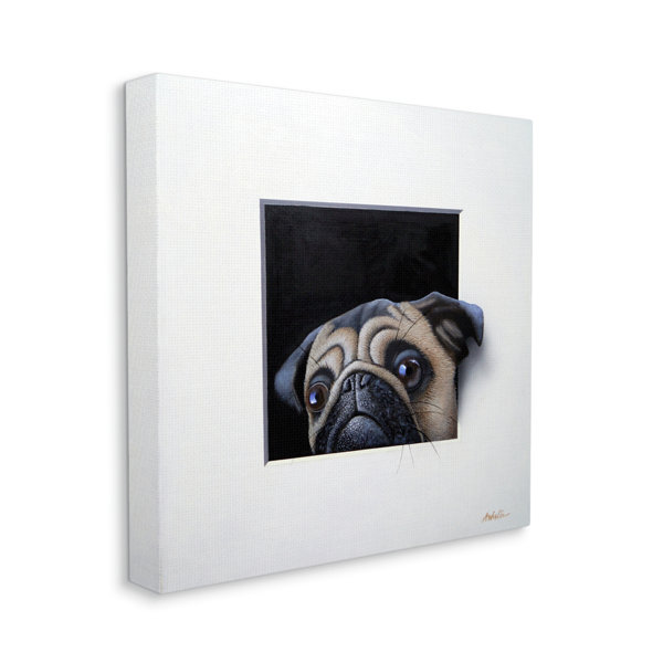 Stupell Industries «Pug Peeking Illusion Optique», peinture détaillée ...