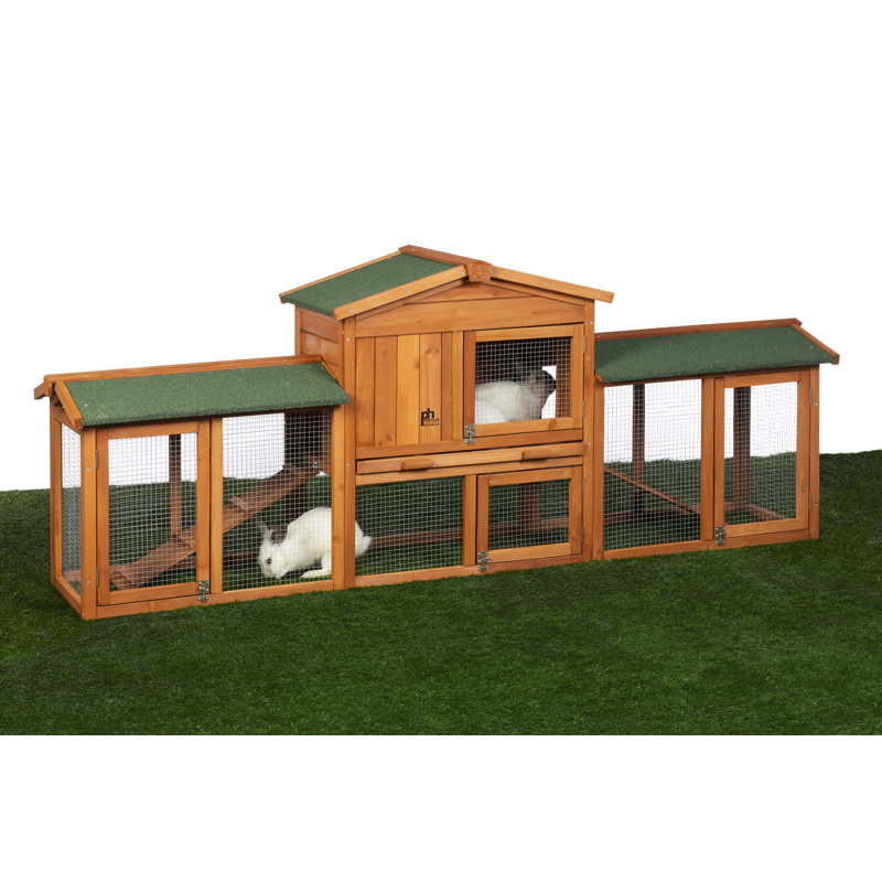 Archie & Oscar™ Lovern Weather Resistant Rabbit Hutch with Ramp | Wayfair