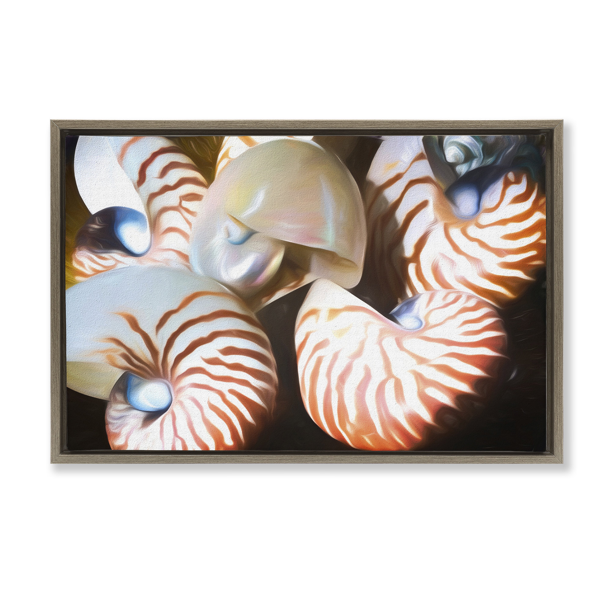Beachcrest Home™ Nautilus Shells Cluster Framed Floater Canvas by Graffi*tee Studios | Wayfair