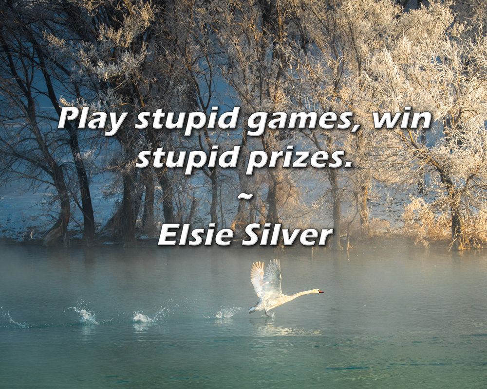 Trinx Elsie Silver Quote: Play stupid games, win stupid prizes. | Wayfair