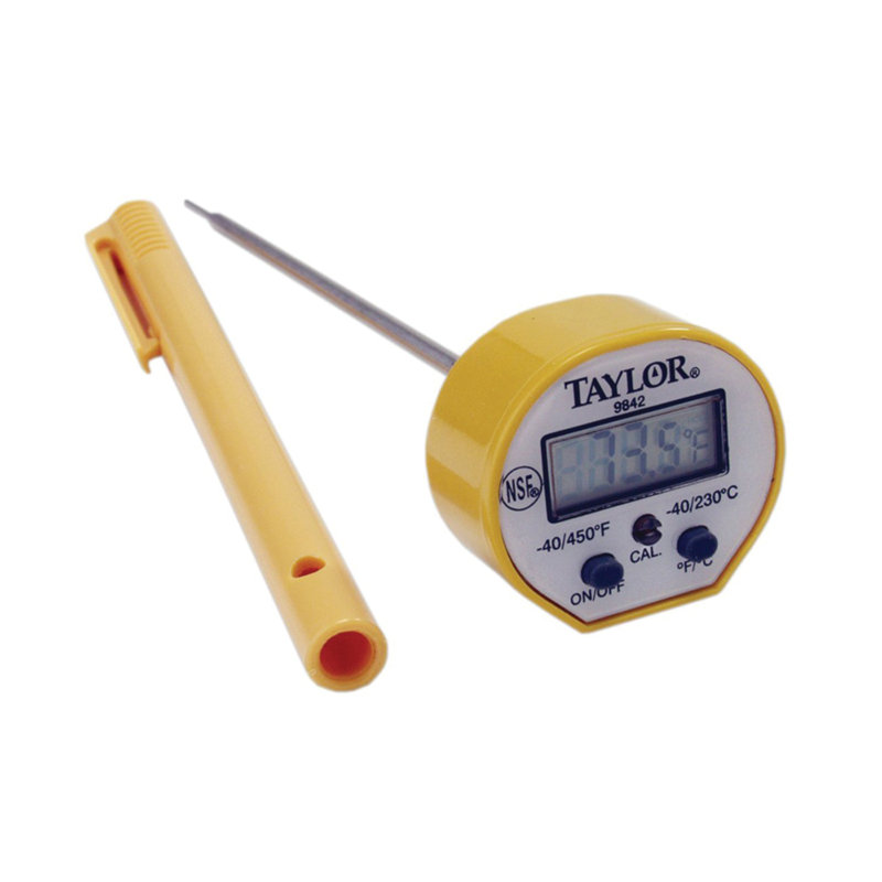 Taylor Instant Read Digital Thermometer | Wayfair