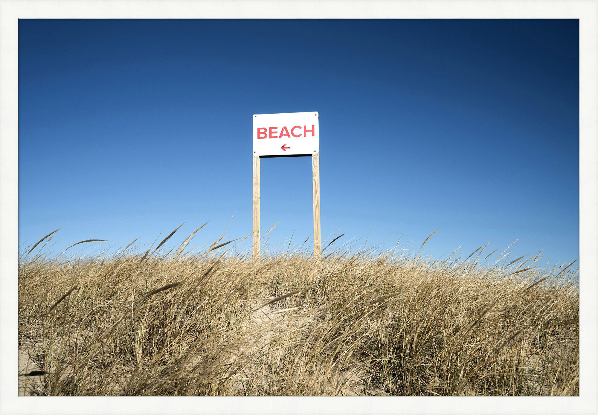Wendover Art Group Beach Sign | Wayfair
