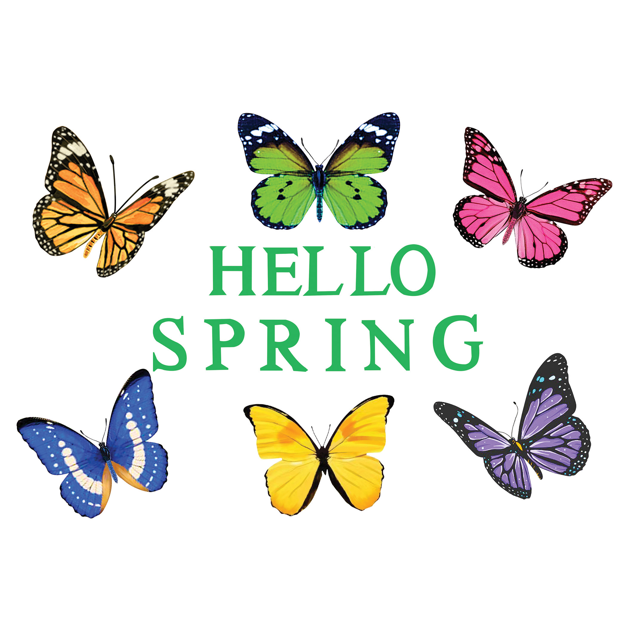 The Holiday Aisle® Hello Spring Butterfly Garage Door Magnet Set | Wayfair