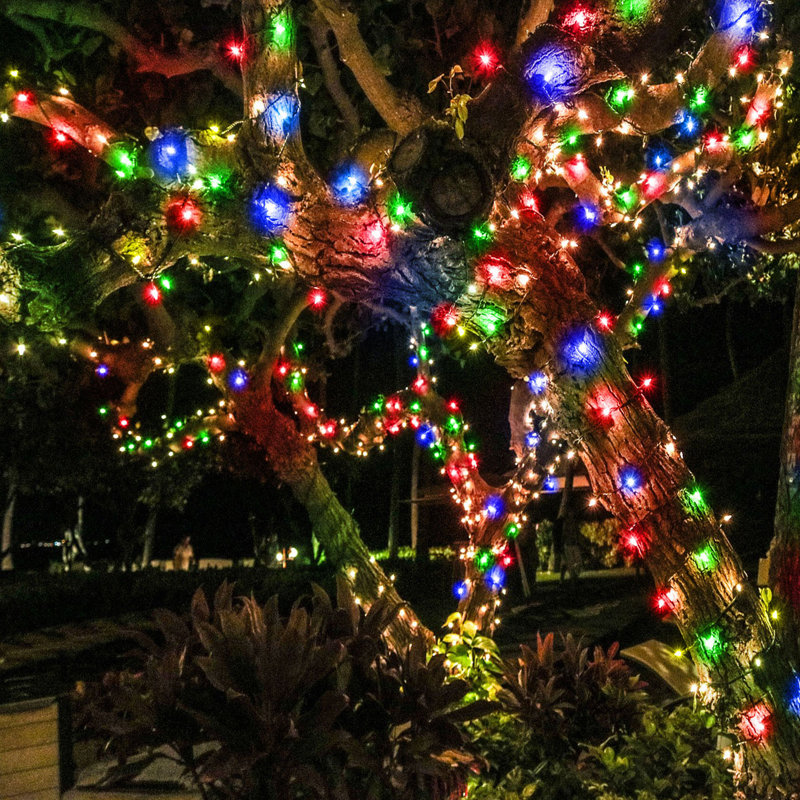 The Holiday Aisle® Shepparton 105' Outdoor LED Solar Powered 225 - Bulb ...