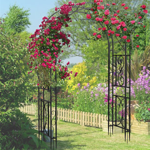 Garden Arches You'll Love | Wayfair.co.uk