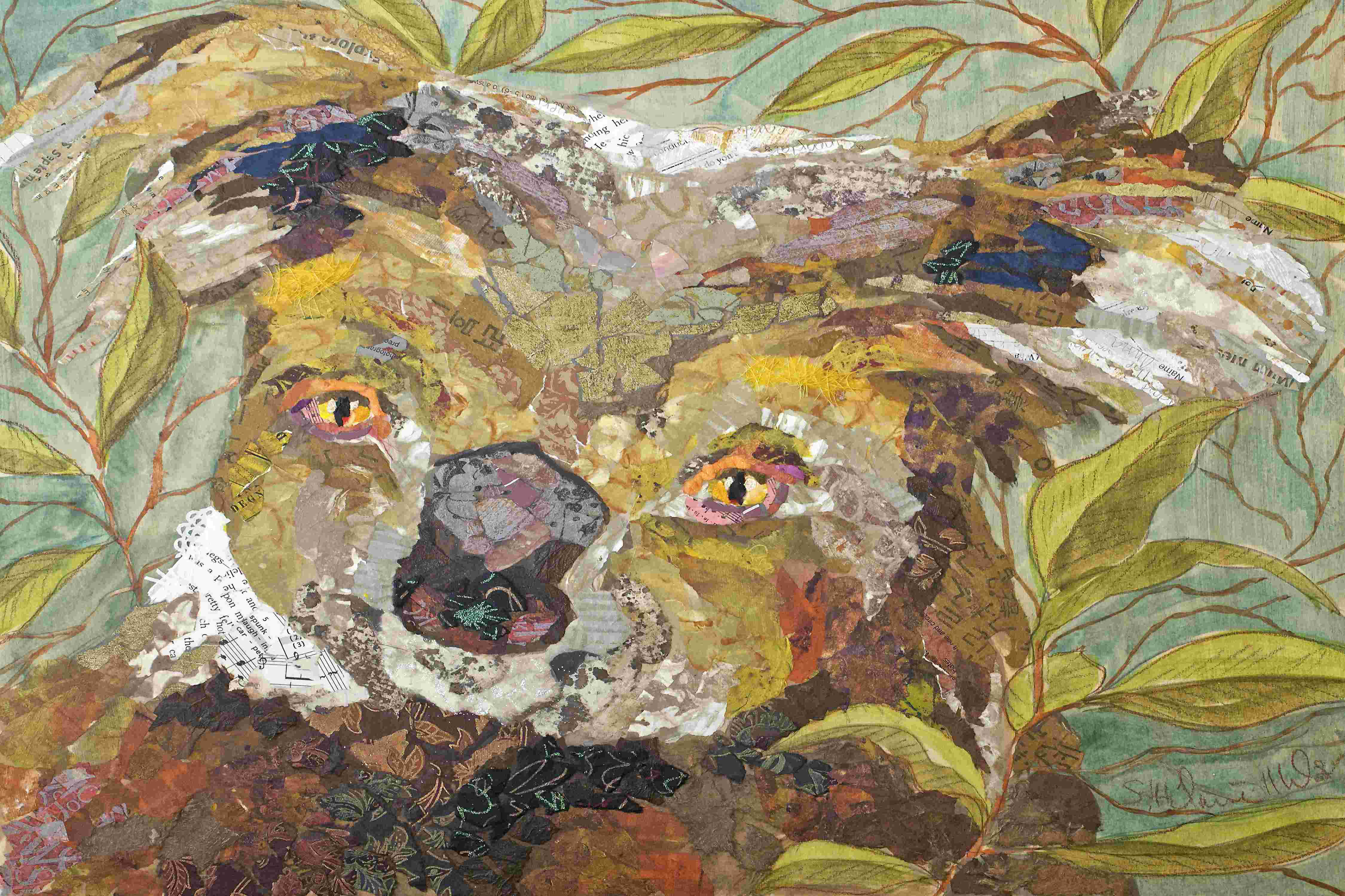Loon Peak® Koala Collage II by Elizabeth St. Hilaire - Wrapped Canvas ...