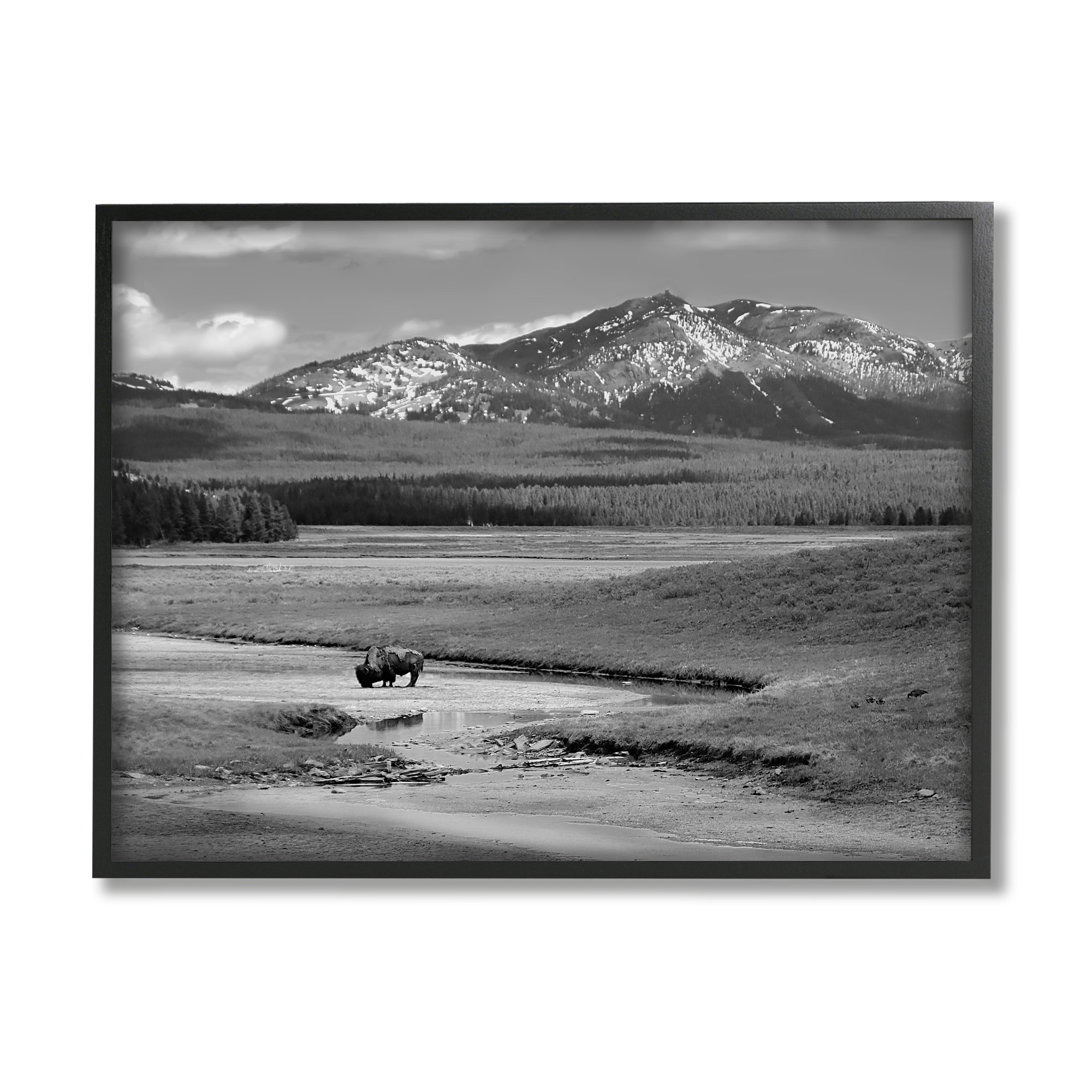 Stupell Industries Bison In Mountain Scene by Steve Toole | Wayfair