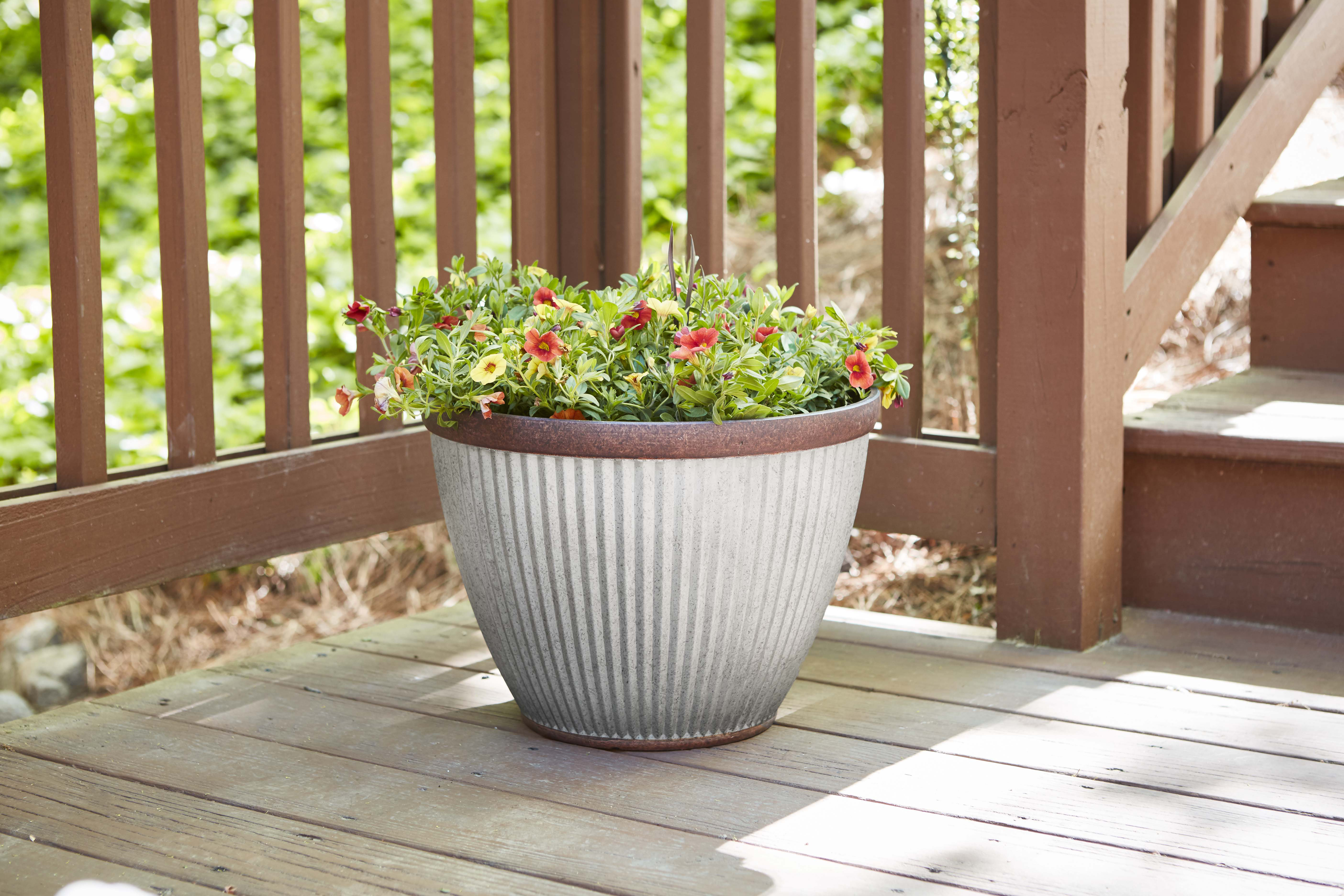 Southern Patio® Westlake Resin Pot Planter & Reviews - Wayfair Canada