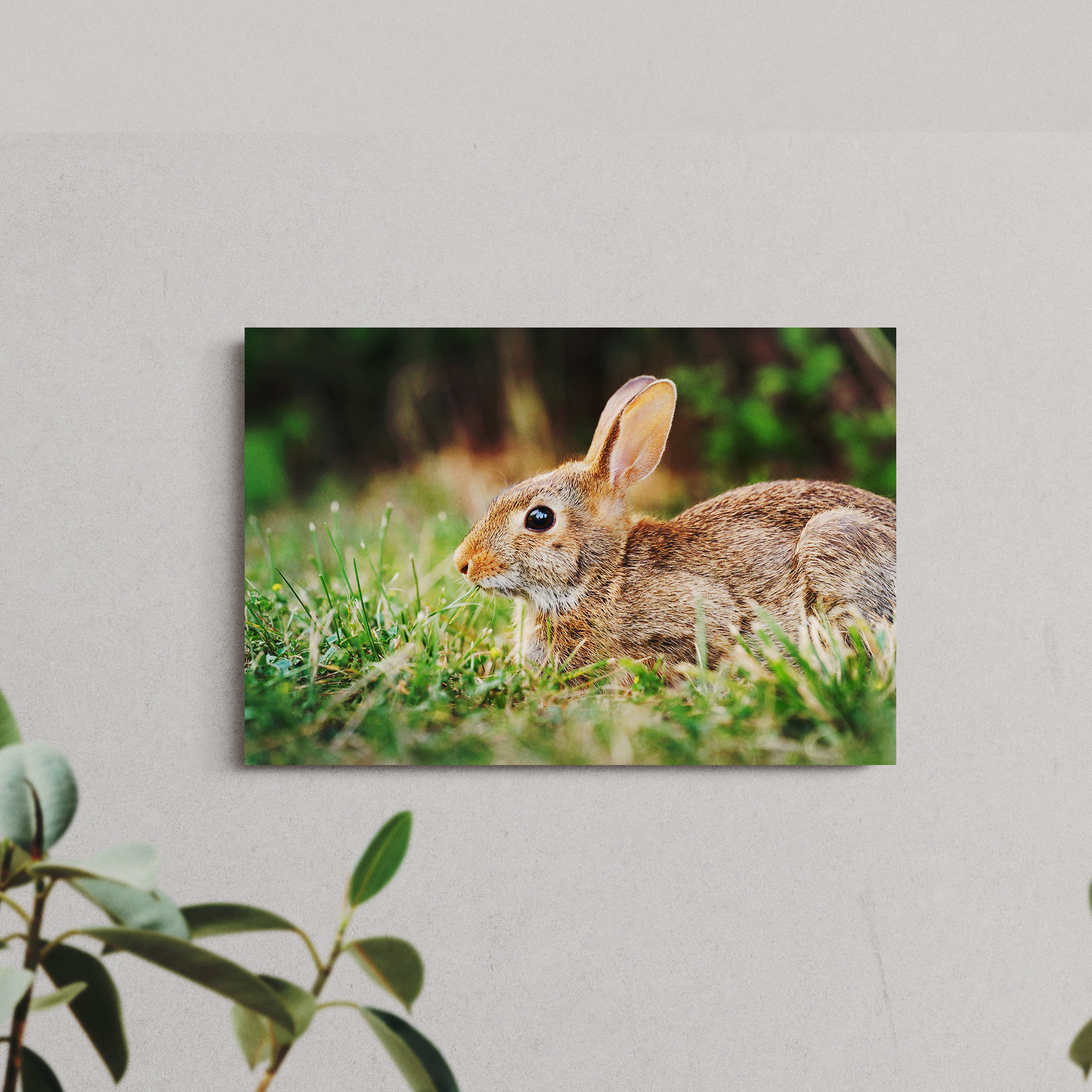 Ebern Designs Hare Sitting on Grass | Wayfair