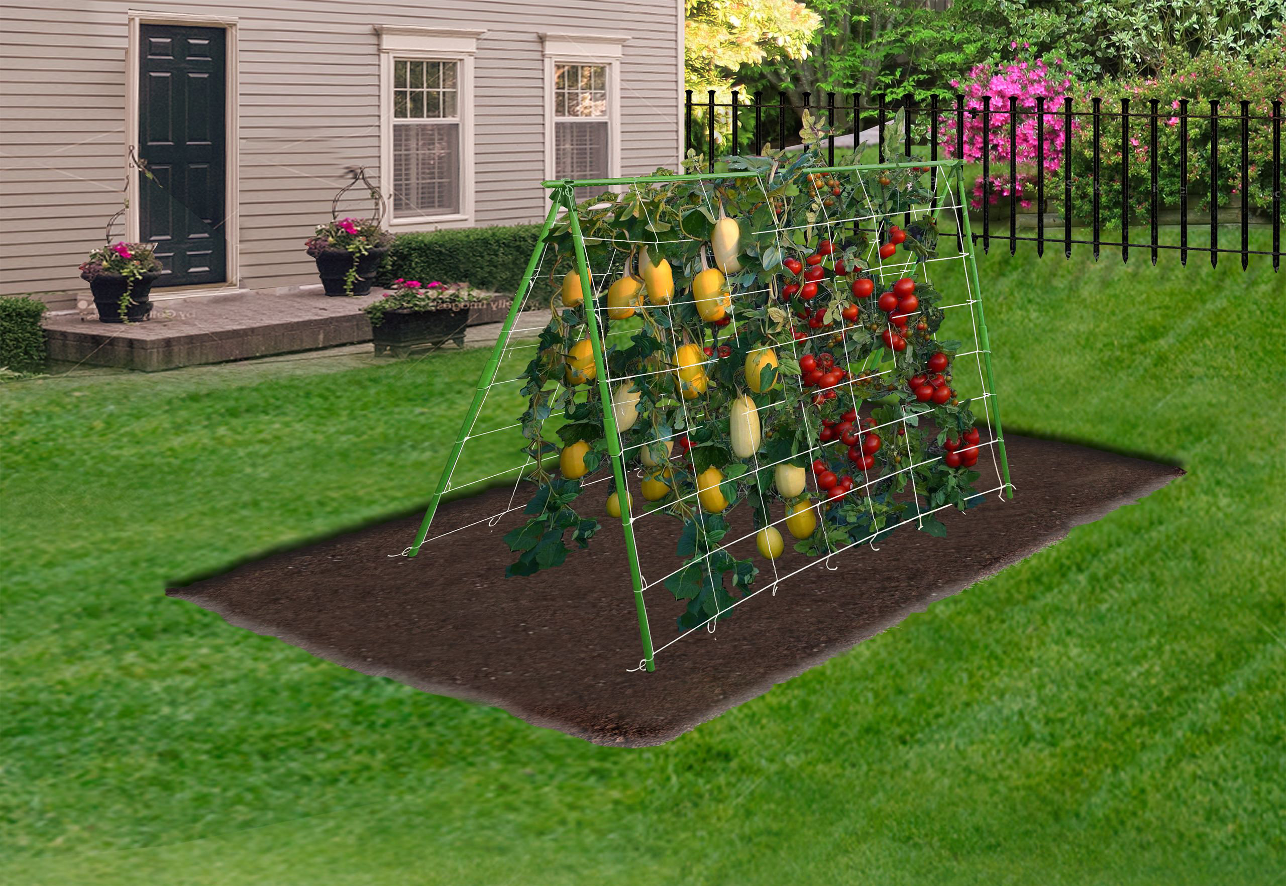 Arlmont & Co. VERTICAL TRELLIS KIT & Reviews | Wayfair