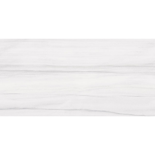 Tile Cart Dolo 12" x 24" Porcelain Stone Look Wall Floor Use Tile | Wayfair