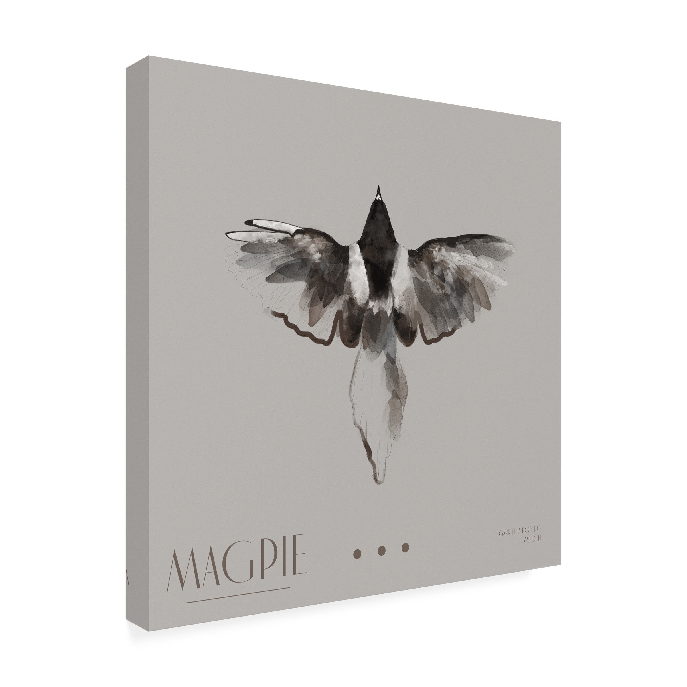 Winston Porter Gabriella Roberg Magpie II Canvas Art - Wayfair Canada