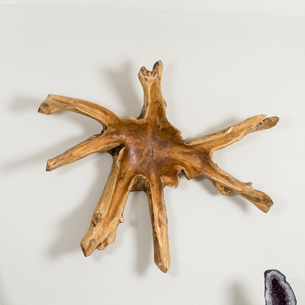 Arlmont & Co. Teak Root Wall Decor - Spider | Wayfair