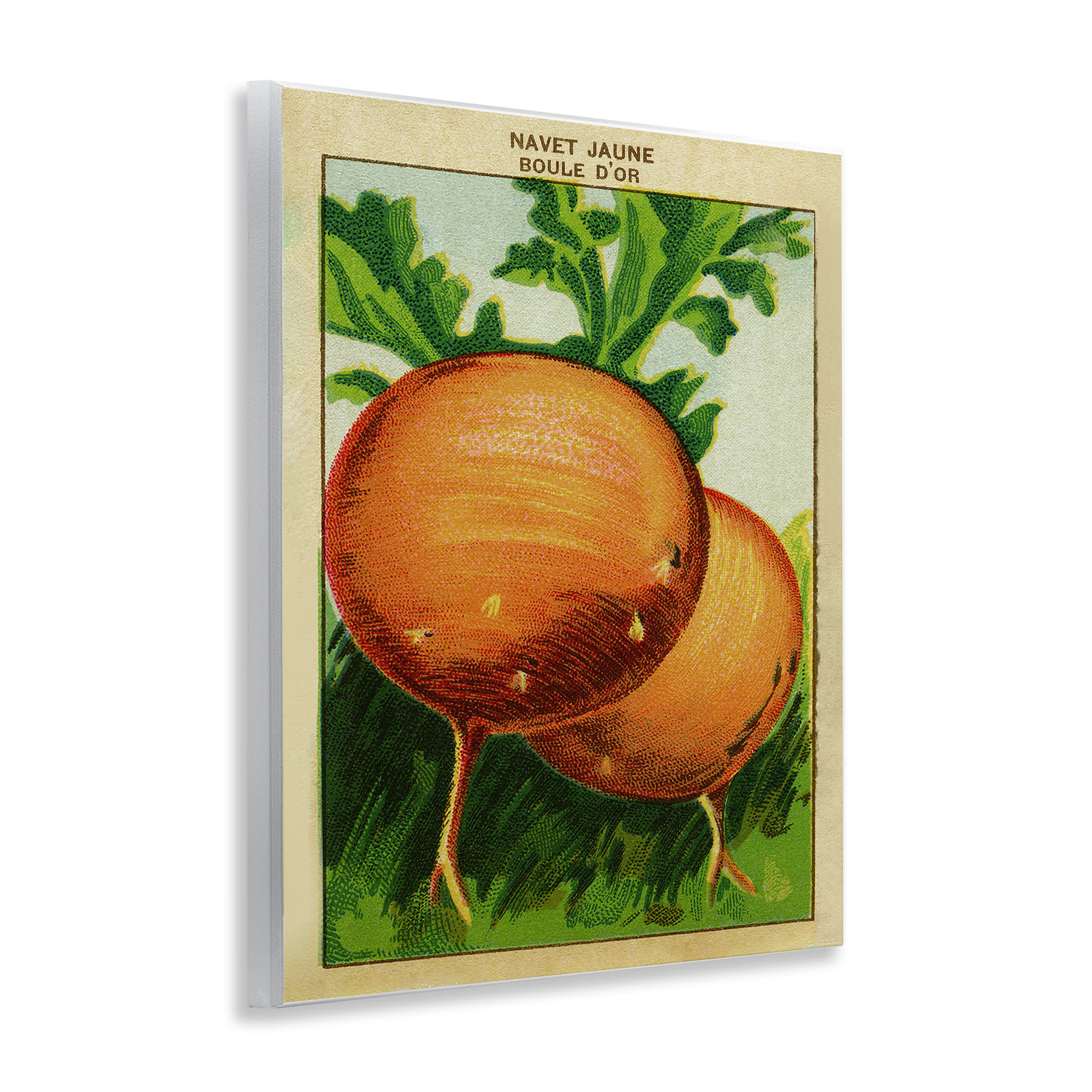 Ophelia & Co. Country Vintage Onions Wall Plaque, design by Lil' Rue ...