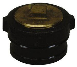 Proflo 4 No-Hub IB Cleanout with 3-1/2" Raised Head Plug | Wayfair