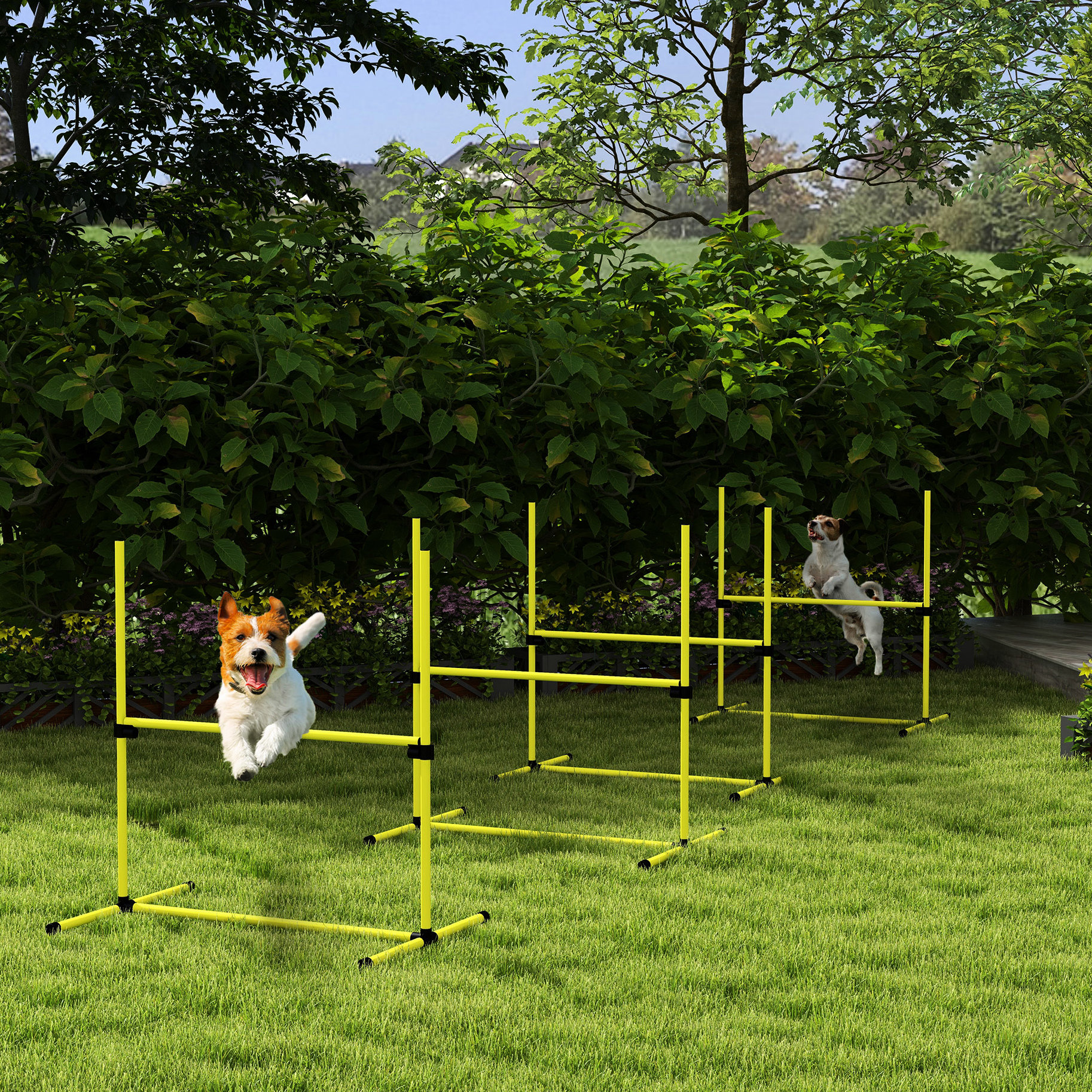 Orren Ellis 4 Piece Adjustable Height Dog Agility Training Kit With ...