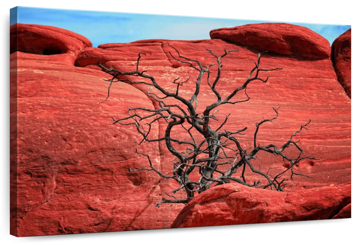 Lark Manor Harnek Dead Tree By Red Rocks - Wayfair Canada