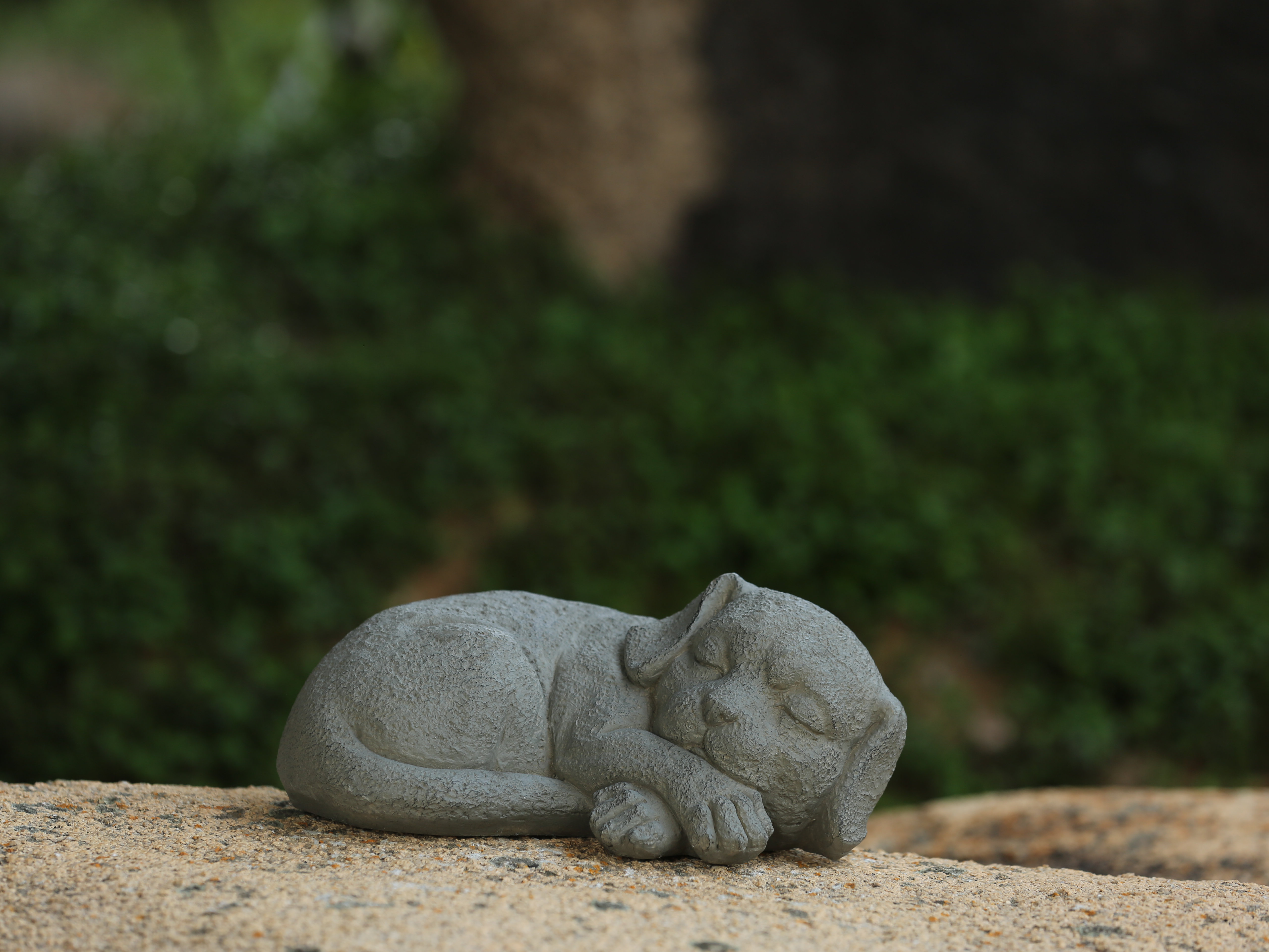 Hi-Line Gift Ltd. Peaceful Rest Curled Sleeping Dog Memorial Statue ...