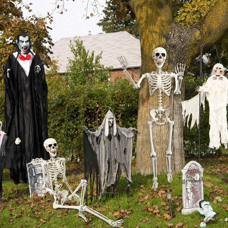 The Holiday Aisle® Halloween Skeleton | Wayfair