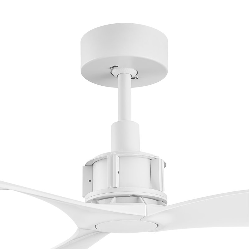 AllModern Zelda 52'' Ceiling Fan & Reviews | Wayfair