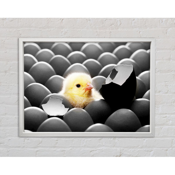 August Grove Chick Hatching - Single Picture Frame Print on Canvas ...