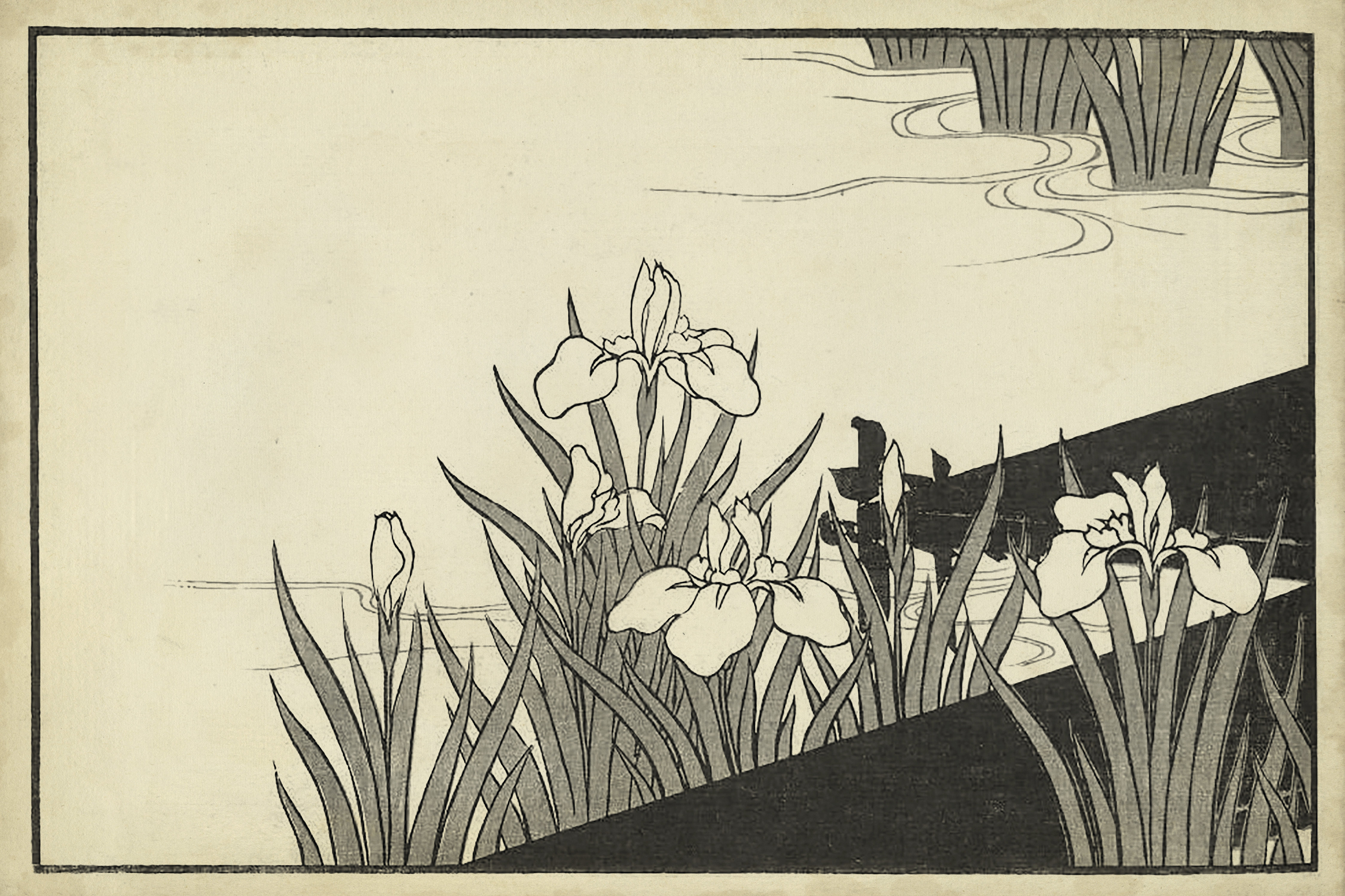 Rosalind Wheeler Japanese Irises A - Wrapped Canvas Drawing | Wayfair.ie