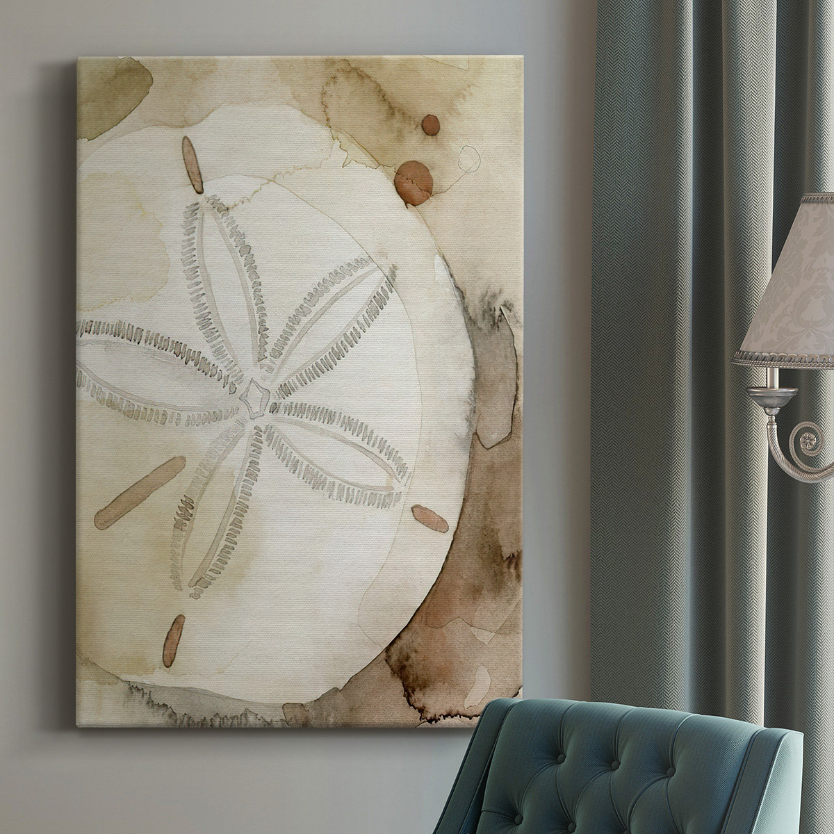 Highland Dunes Dry Sand Dollar I Premium Gallery Wrapped Canvas - Ready ...