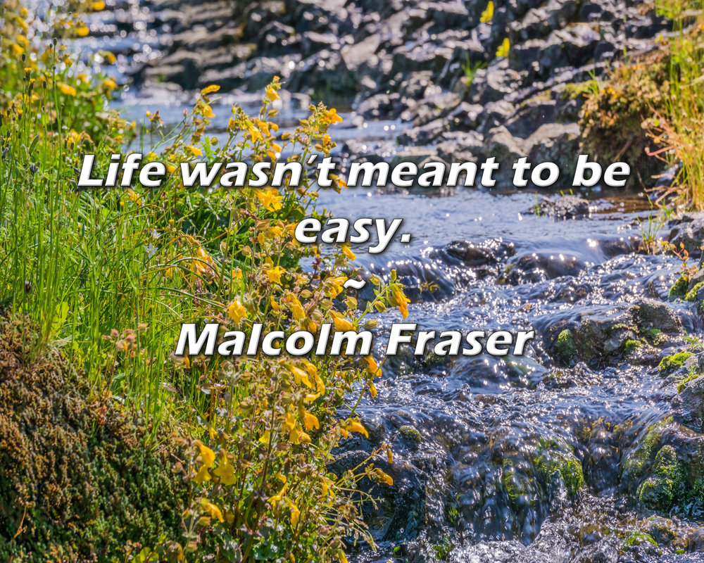 Trinx Malcolm Fraser Quote: Life wasn’t meant to be easy. | Wayfair
