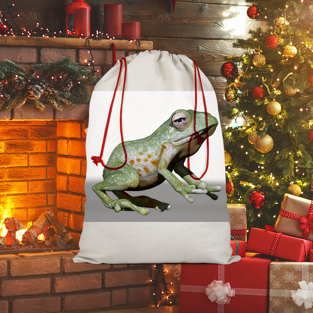 East Urban Home Cg Frog Character Sublimation Linen Drawstring Sack ...