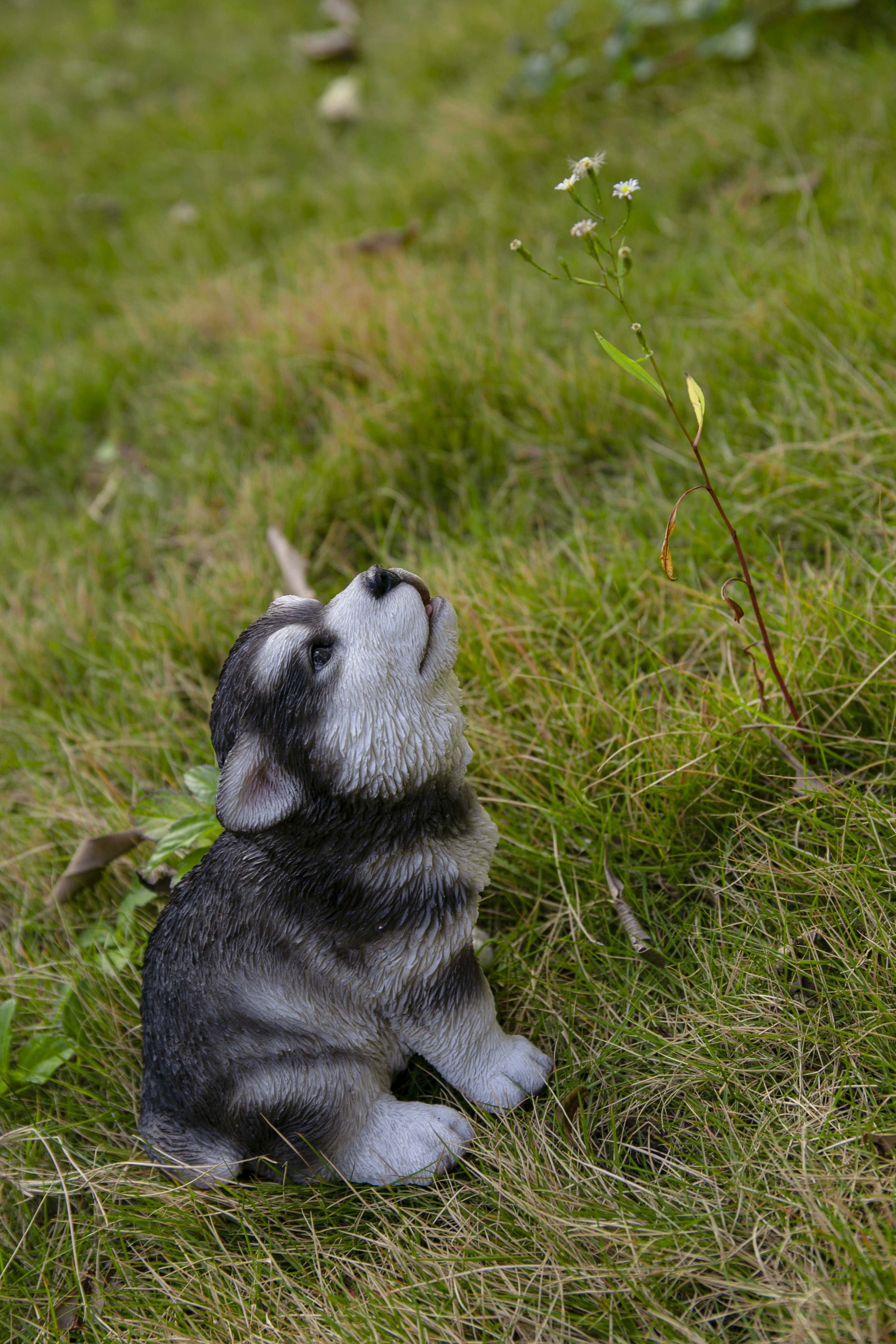 Hi-Line Gift Ltd. Alaskan Malamute Puppy Howling & Reviews | Wayfair