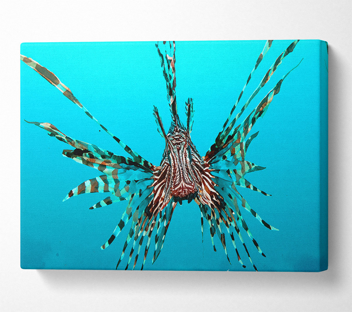 Latitude Run Red Lionfish - Wrapped Canvas Art Prints | Wayfair.co.uk